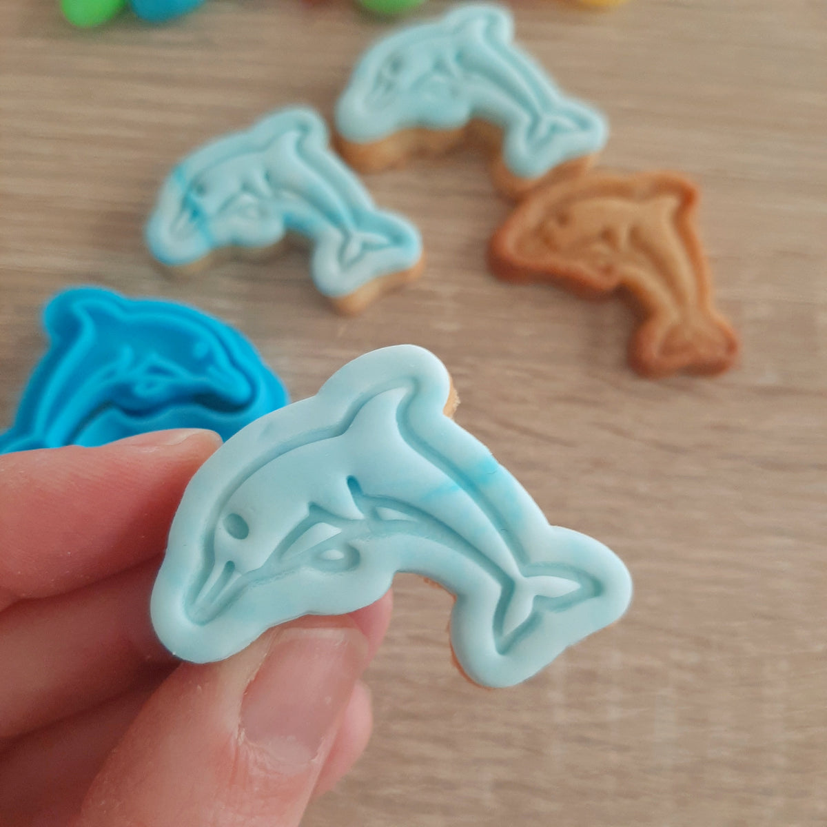 Mini Dolphin Cookie Cutter & Stamp – Little Monkey NZ